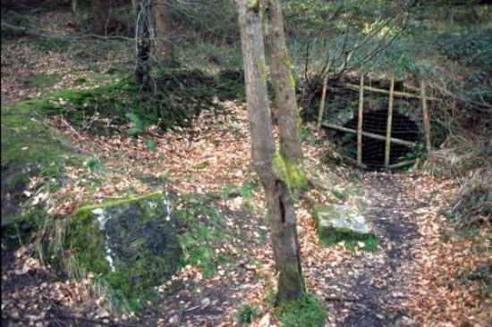 Bixslade Colliery » Forest of Dean Local History Society