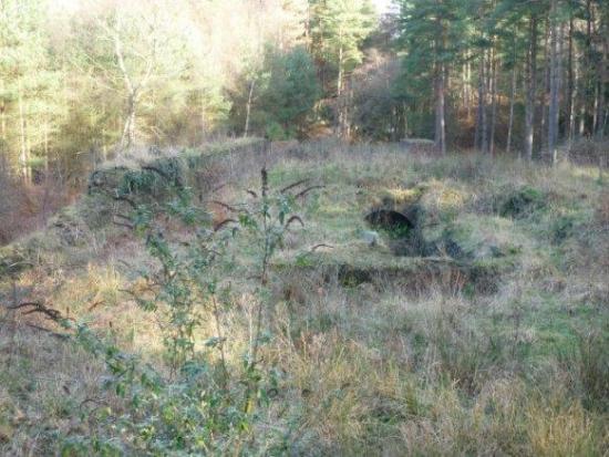 Brick Pit » Forest of Dean Local History Society