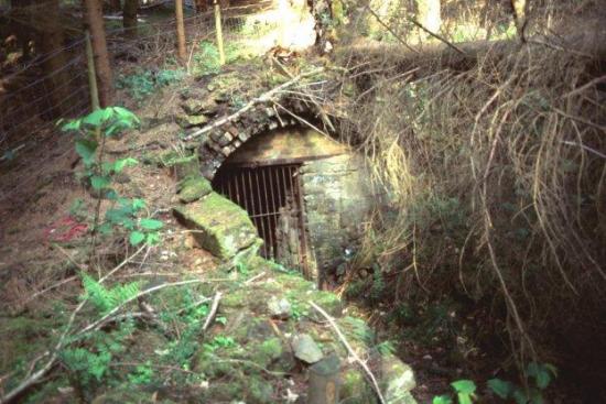 Cannop Drift Mine » Forest of Dean Local History Society