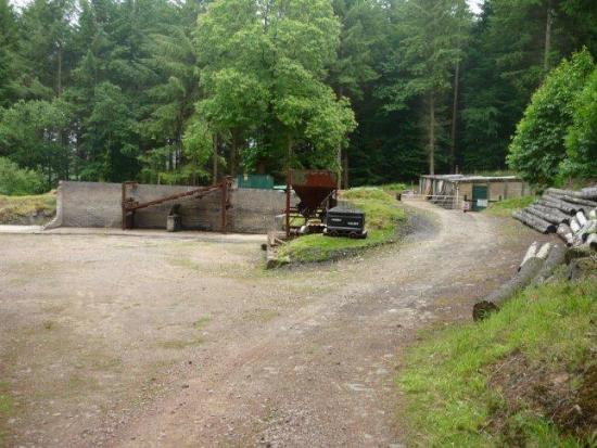 Phoenix Free Mine » Forest of Dean Local History Society