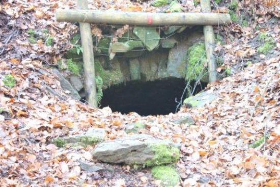 Wimberry Colliery » Forest of Dean Local History Society