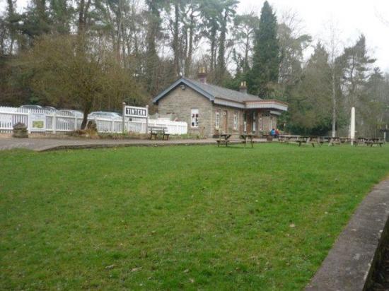 Wye Valley Railway » Forest of Dean Local History Society